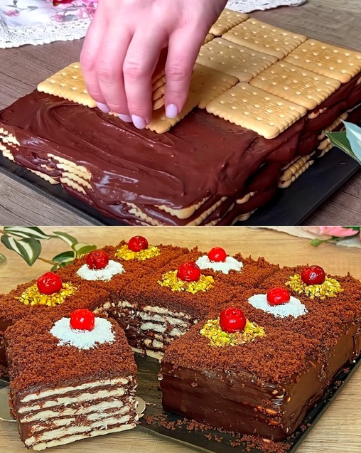 GÂTEAU BISCUIT AU CHOCOLAT - Zbayl