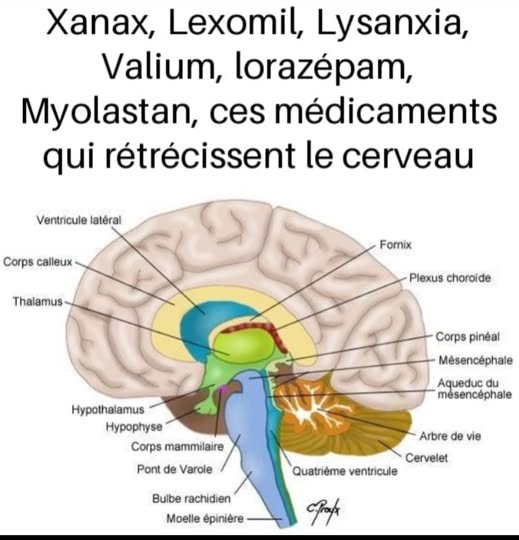 Témesta : quels sont les effets secondaires de ce médicament ...