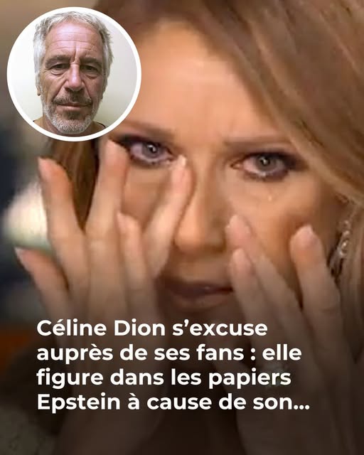 Céline Dion citée dans les dossiers Epstein ? Un agent immobilier viré ...