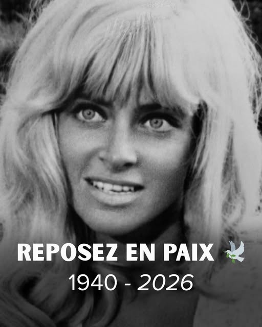 Mort de Joy Harmon : l'actrice du film Luke la main froide est décédée ...